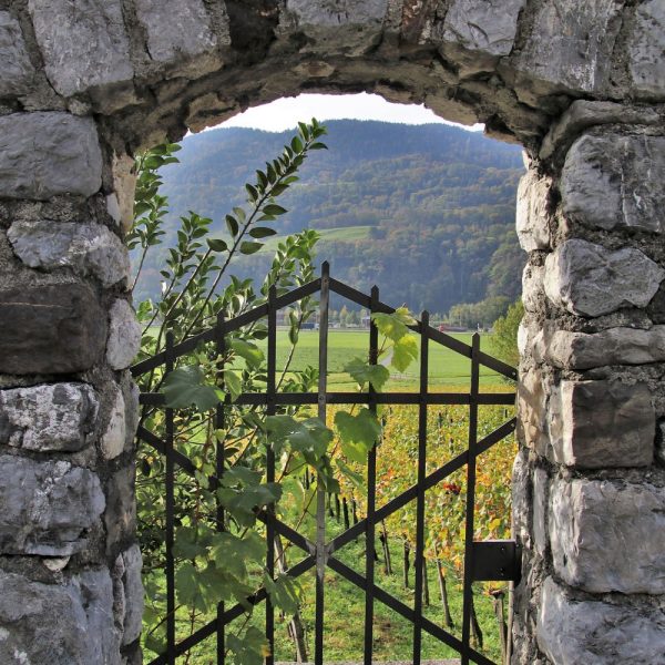 Experiences - Gamenic Virtual Studio