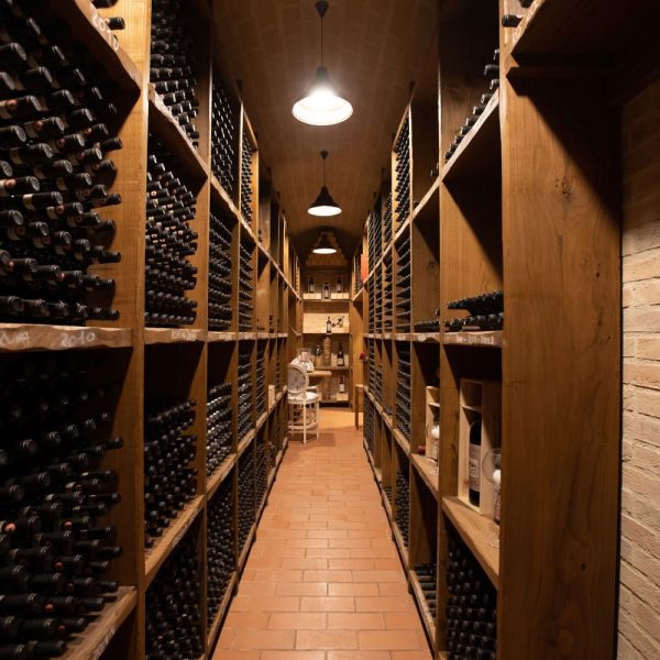 Experiences - Gamenic Virtual Studio